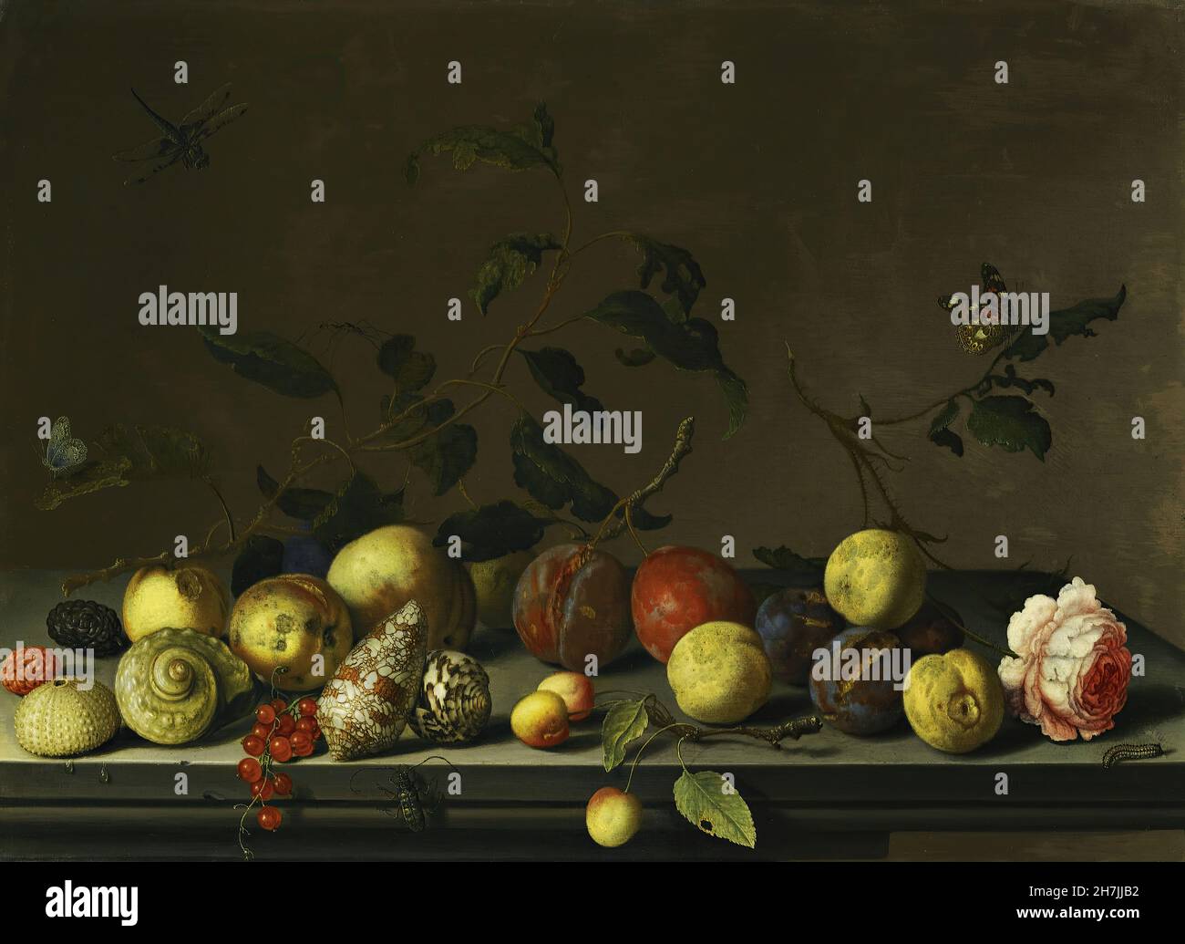 Balthasar van der Ast - A still life of fruit and shells with a rose ...