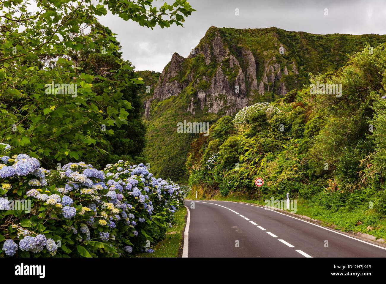 The impressive basalt formations Rochas dos Bordões on the Azores ...
