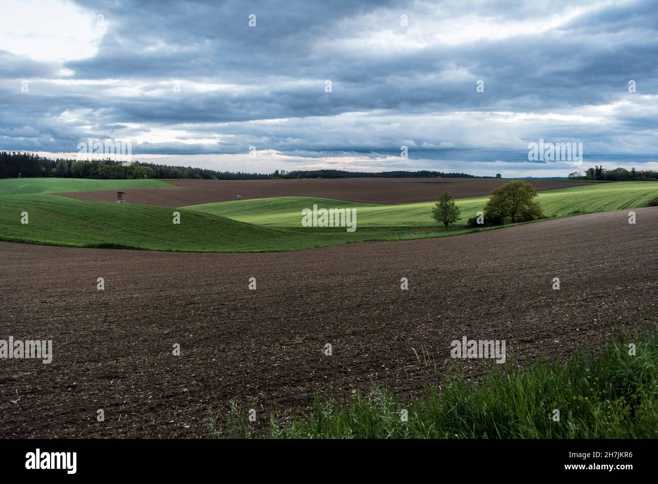 Fields in rural Bavaria, Kranzberg, Bavaria, Germany Stock Photo - Alamy