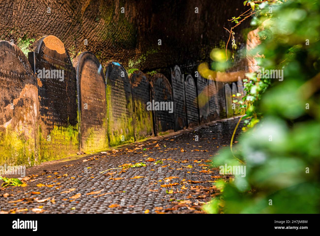 St James's Cemetery with names on gravestone along pathway Stock Photo ...