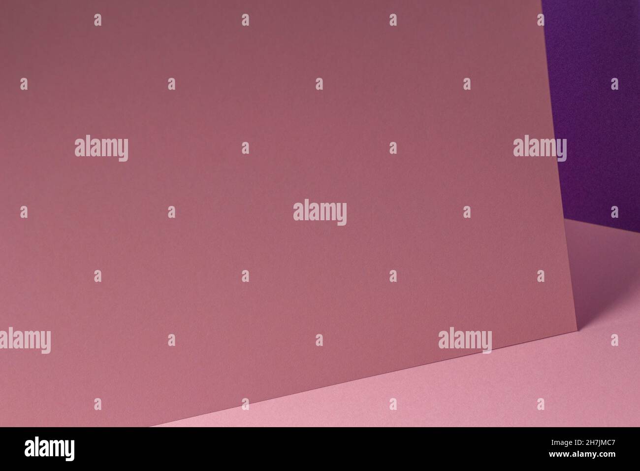 Blank pastel pink paper sheet card note with shadows on pink and violet ...