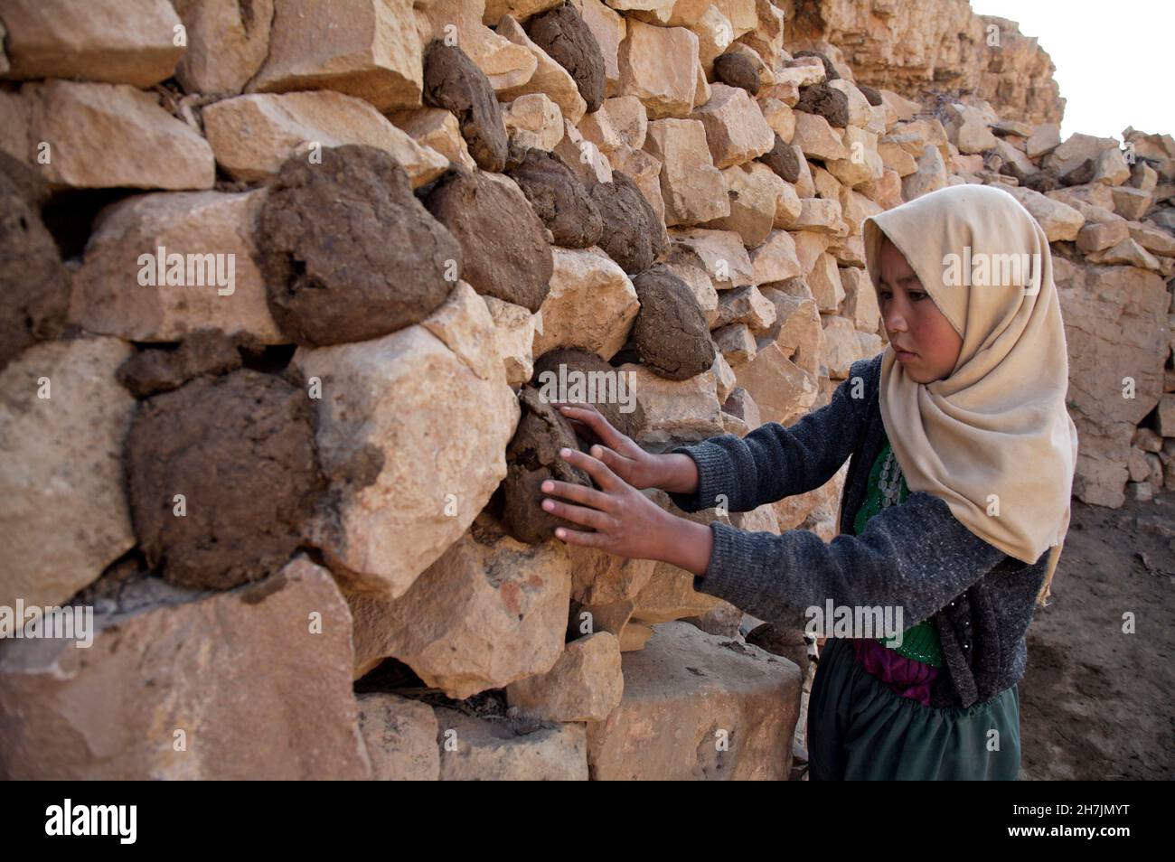 Donkey dung hi-res stock photography and images - Alamy