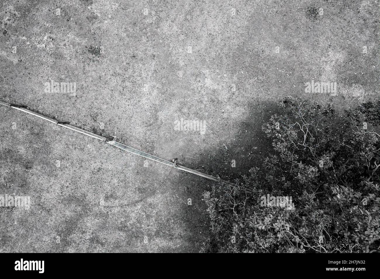 Top down view over a tree and fence on rural property, rendered in ...