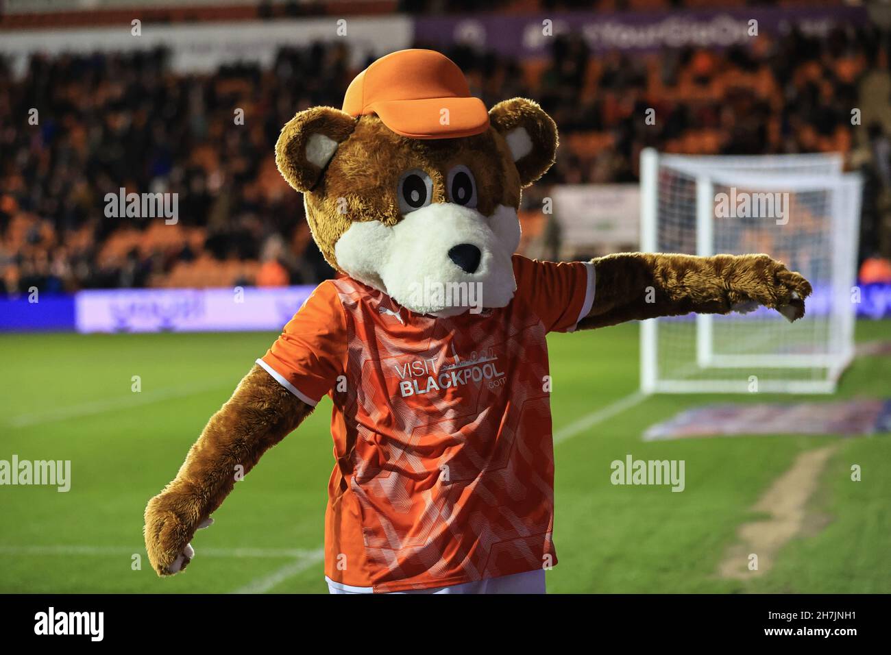 Bloomfield Bear dances as Blackpool fans sing away Stock Photo - Alamy