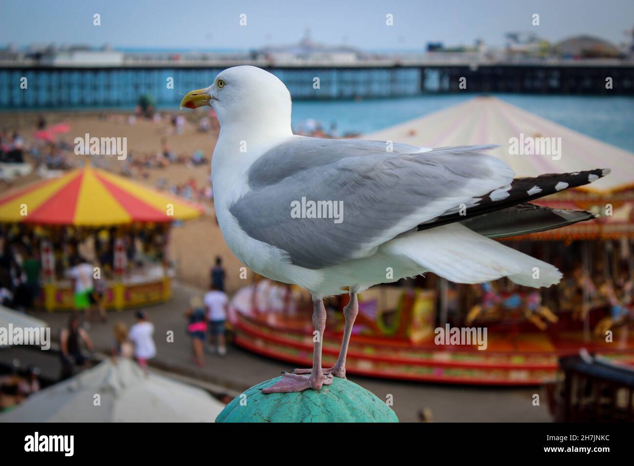 Brighton palace pier carousel hi-res stock photography and images - Alamy