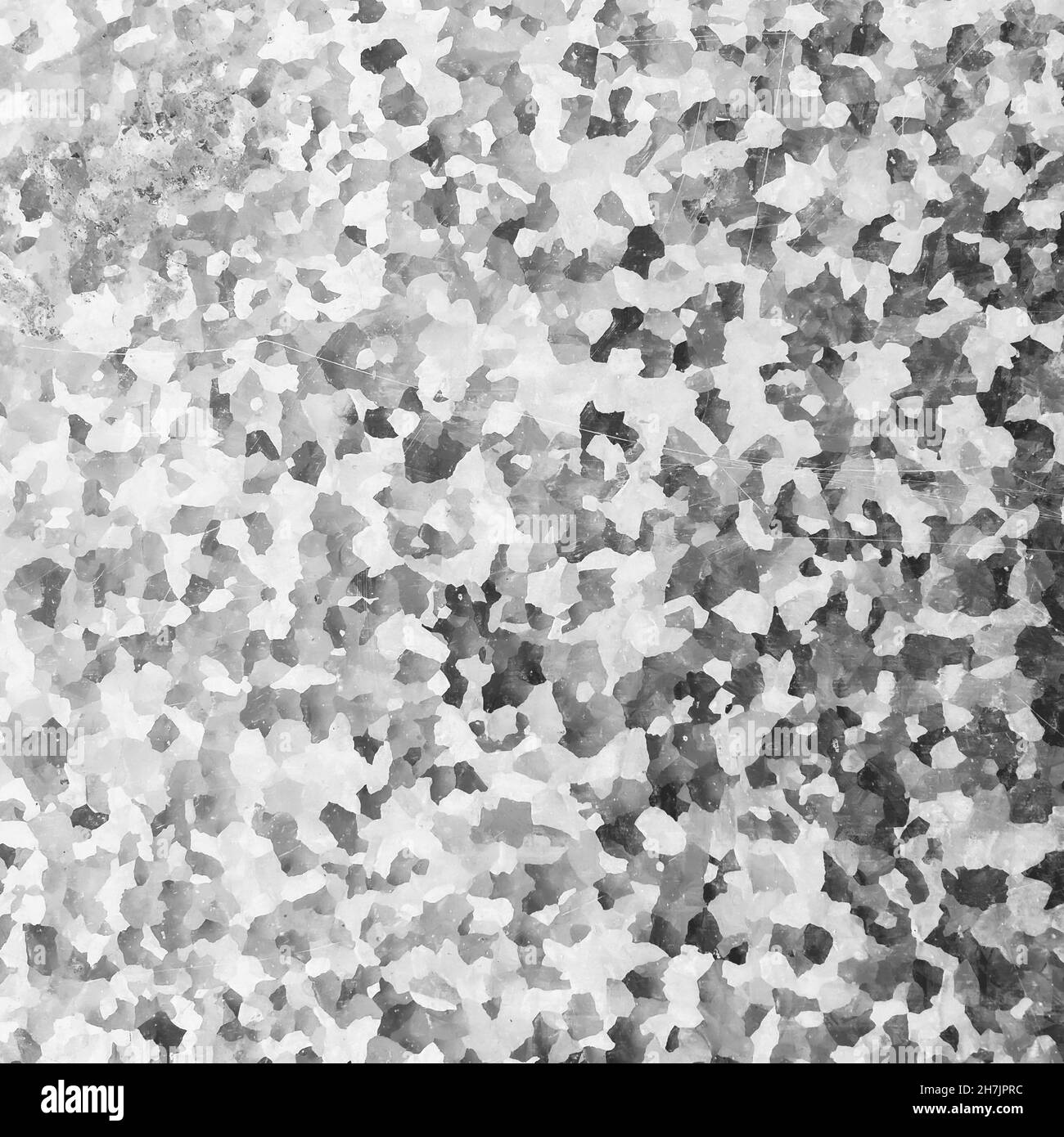 Woodland camo Black and White Stock Photos & Images - Alamy