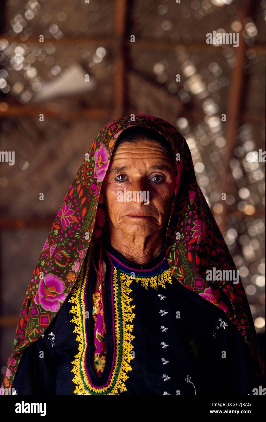 Grax hi-res stock photography and images - Alamy