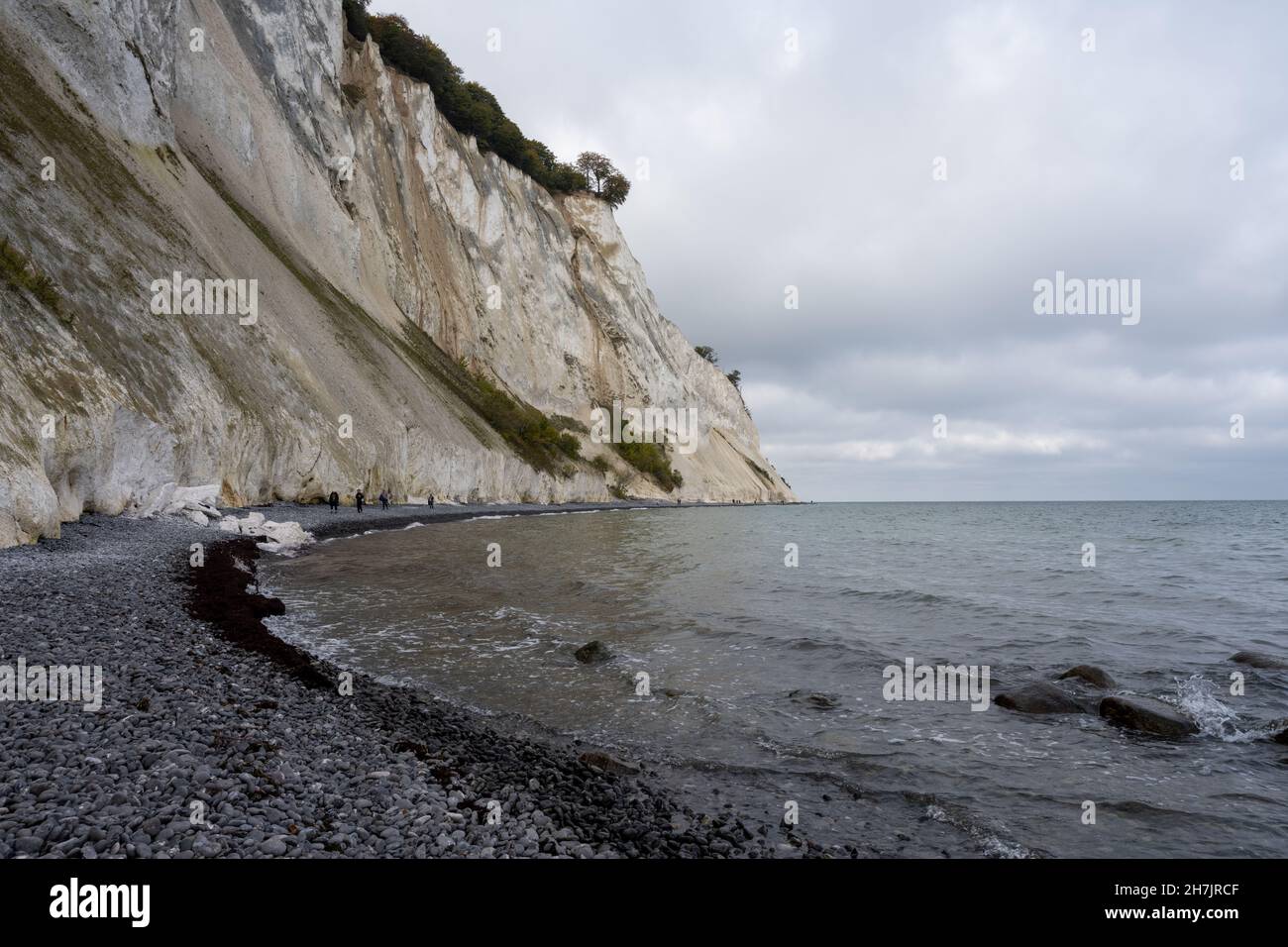 Beautiful chalk cliffs towering over the Baltic Sea. Picture from Mons ...