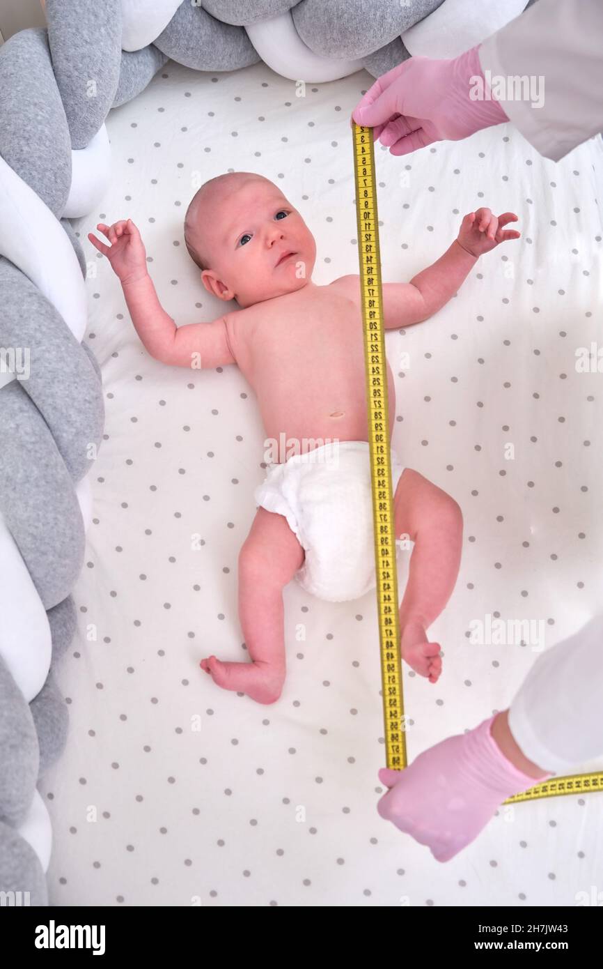 Doctor measures the growth of a newborn baby. A nurse in uniform checks ...