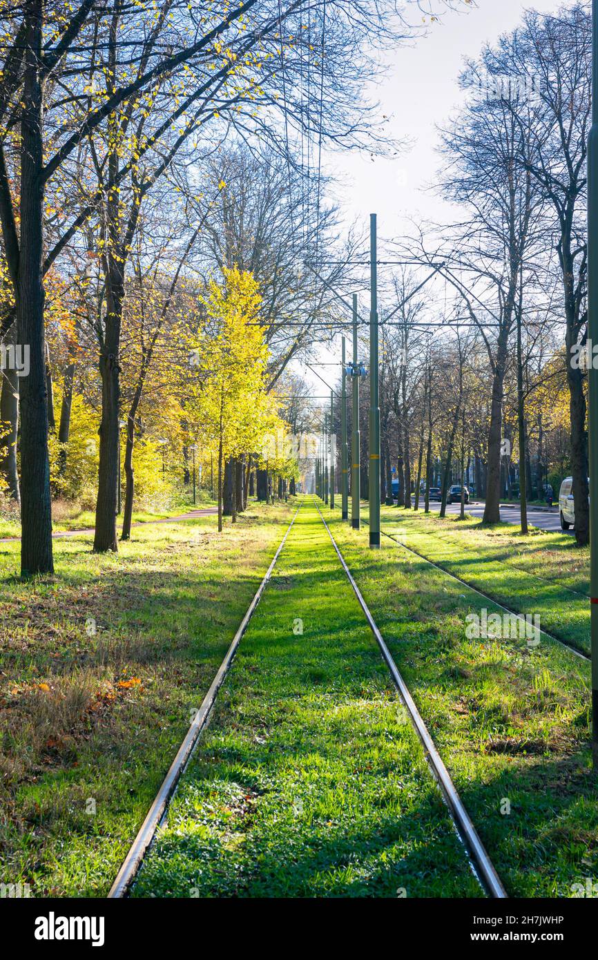 Tram track lines hi-res stock photography and images - Alamy
