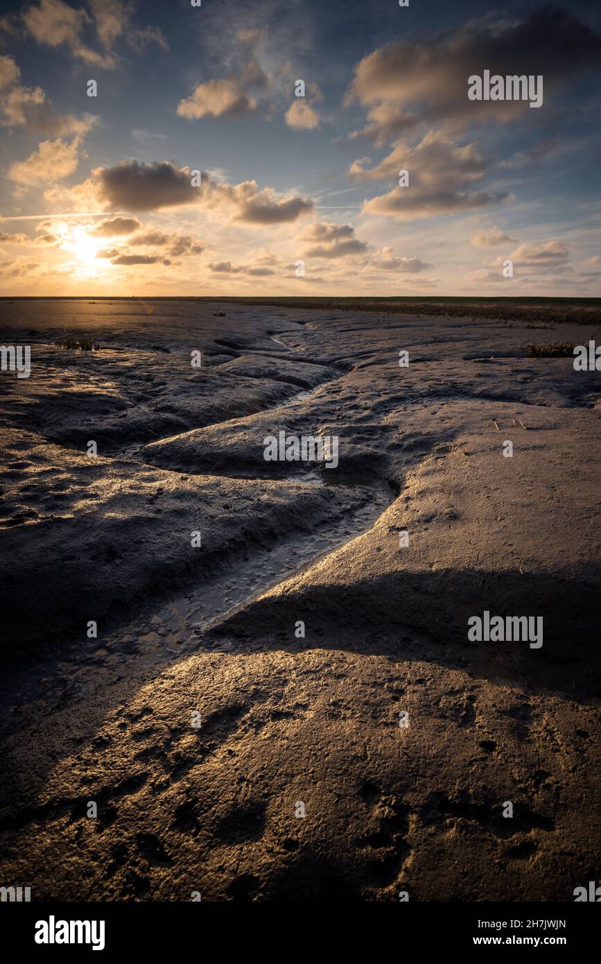 Langwarder groden hi-res stock photography and images - Alamy