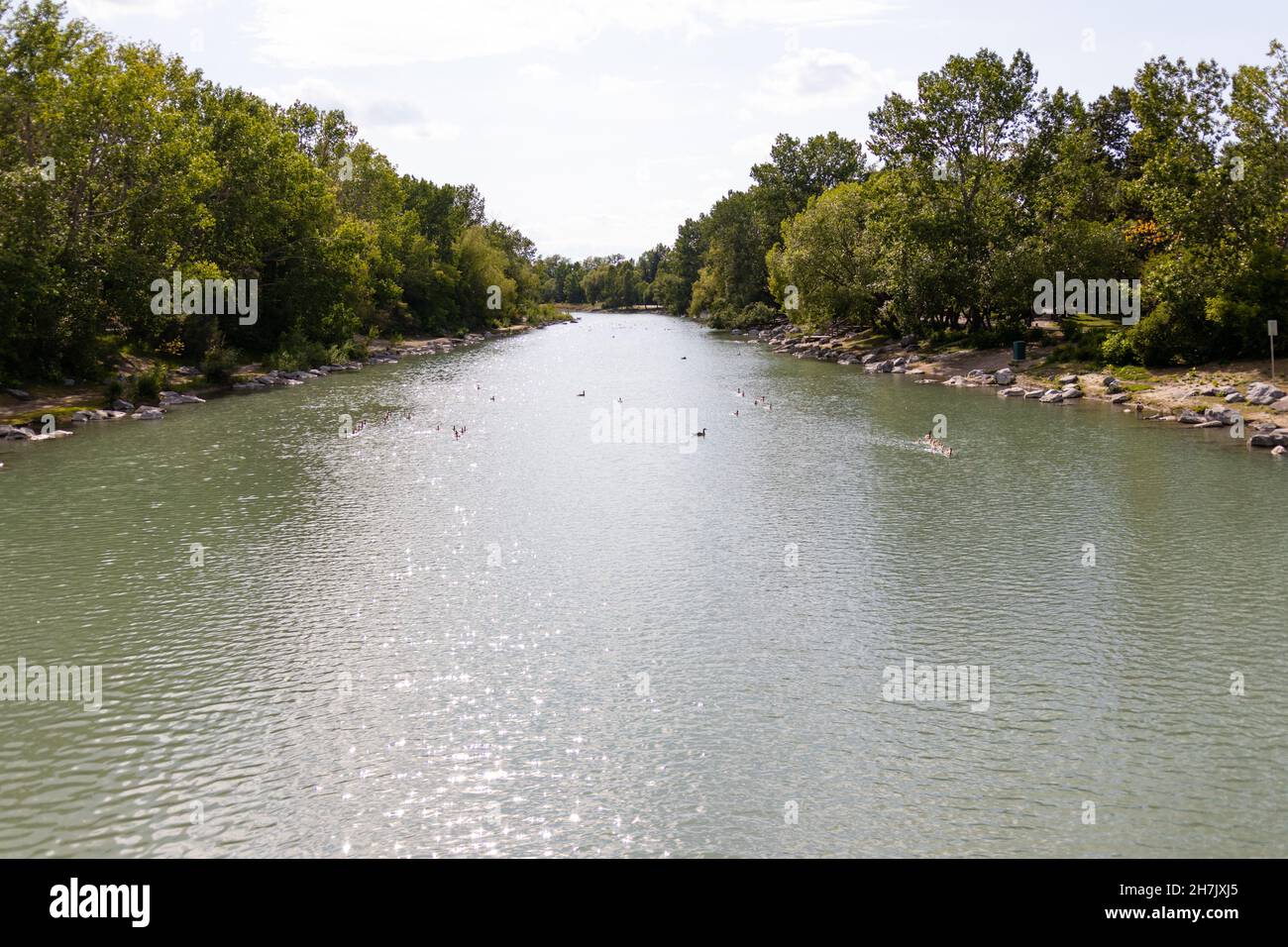 Beautiful green river with forests on both sides Stock Photo - Alamy
