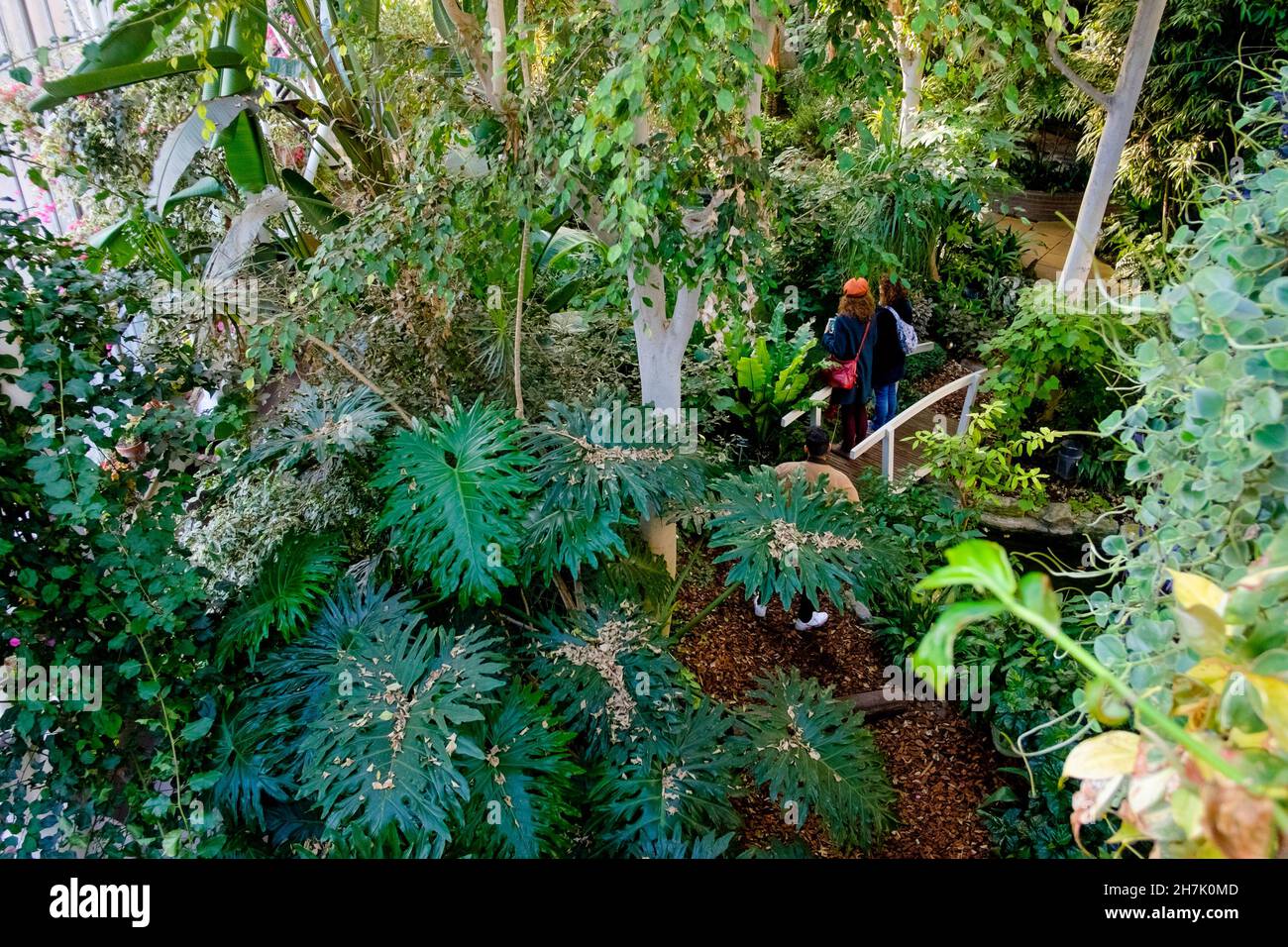 The Barbican Conservatory, the second largest conservatory in London ...