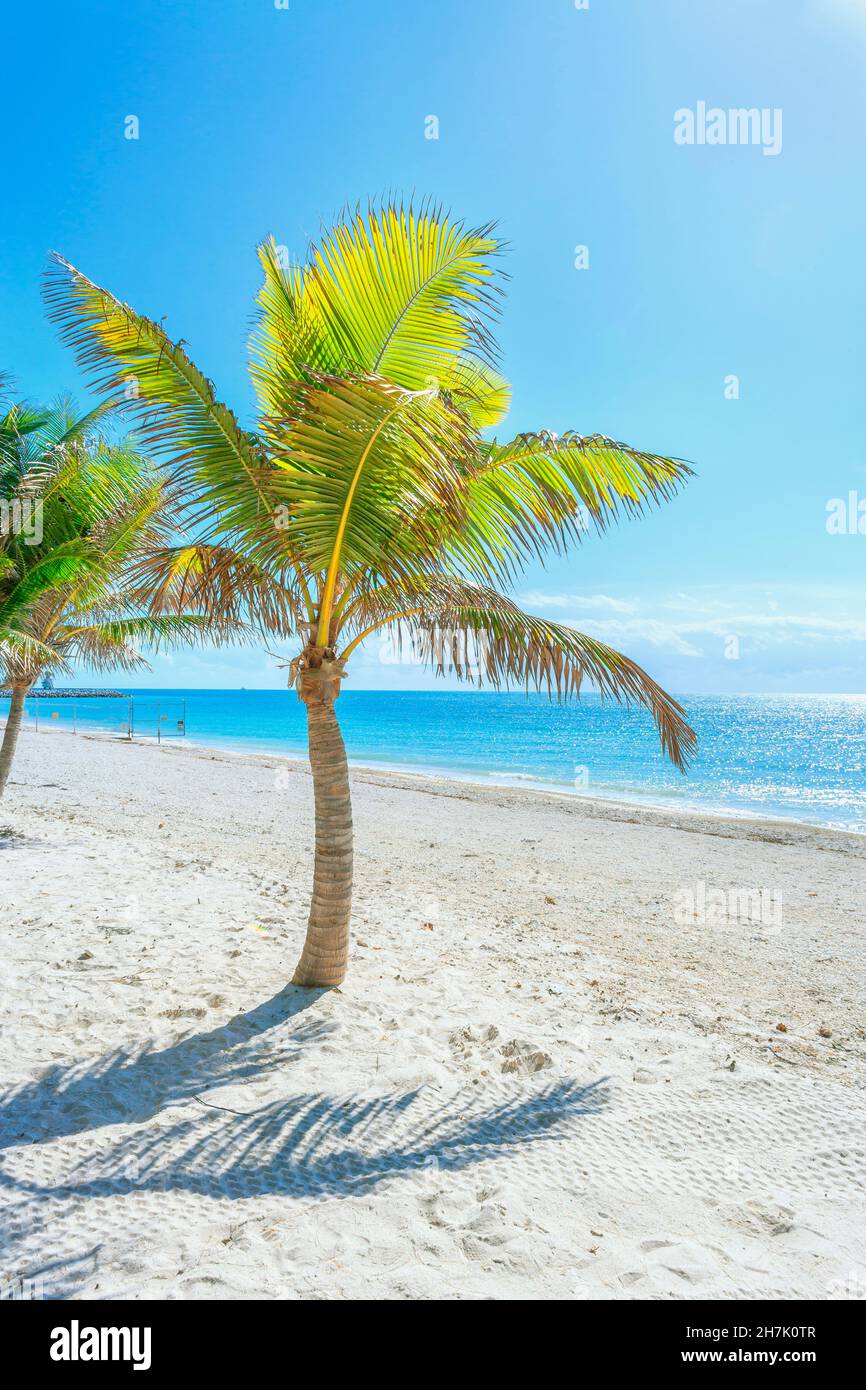Smathers beach, Key West, Florida, USA Stock Photo - Alamy