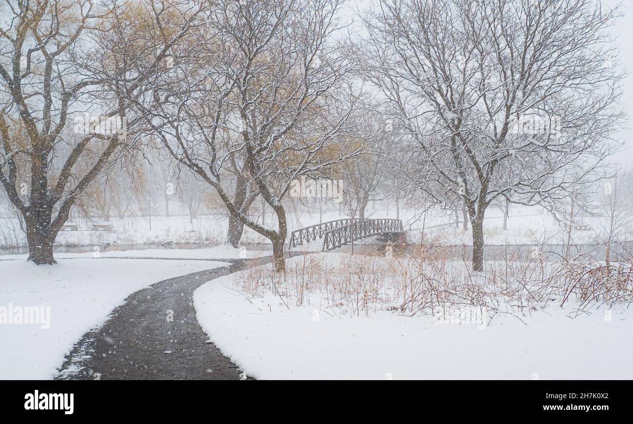 Empty foot path curving past snow-covered trees to a bridge during a ...