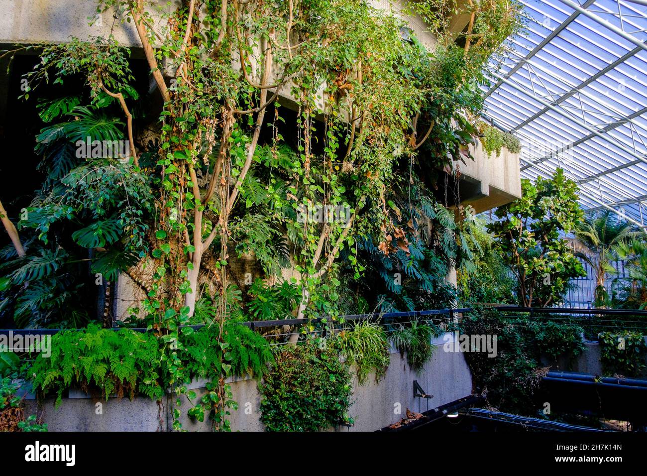 The Barbican Conservatory, the second largest conservatory in London ...
