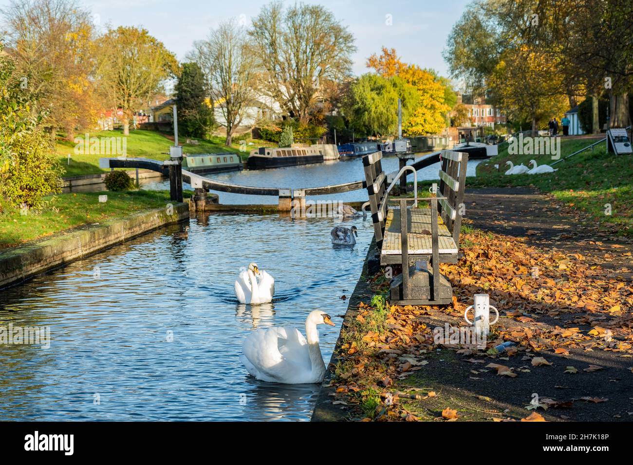 Jesus lock bridge hi-res stock photography and images - Alamy