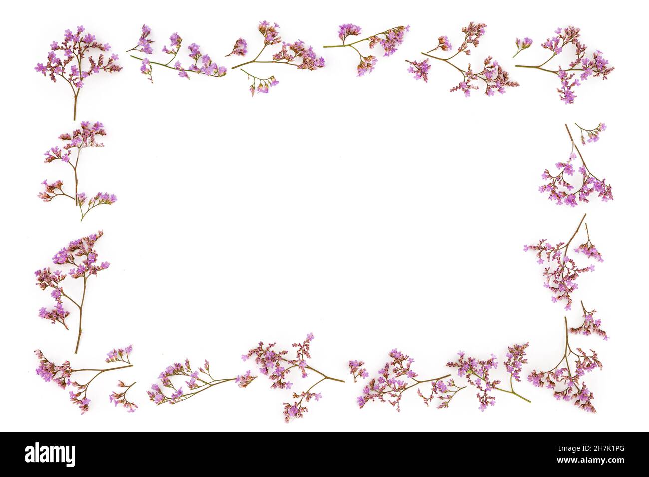 Botanical wild flowers vintage frame Cut Out Stock Images & Pictures ...