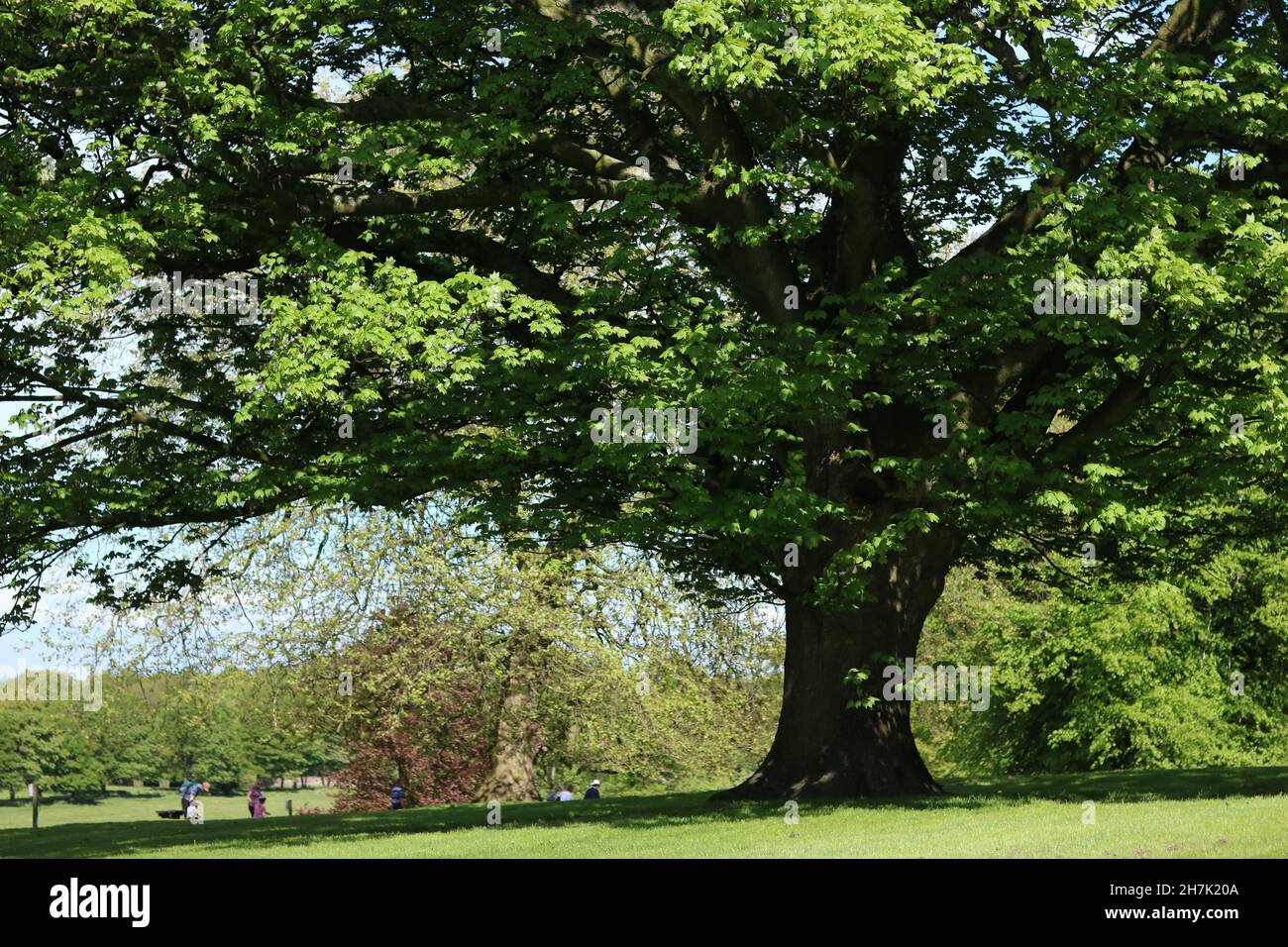 Nostell hi-res stock photography and images - Alamy