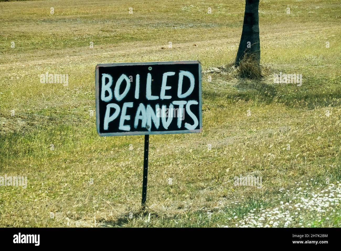 Boiled Peanuts High Resolution Stock Photography and Images - Alamy
