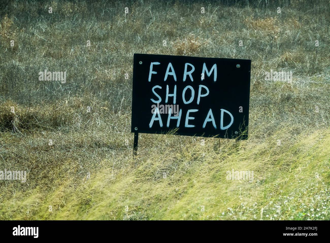 Farm shop ahead sign hand painted in white on black standing on grass ...