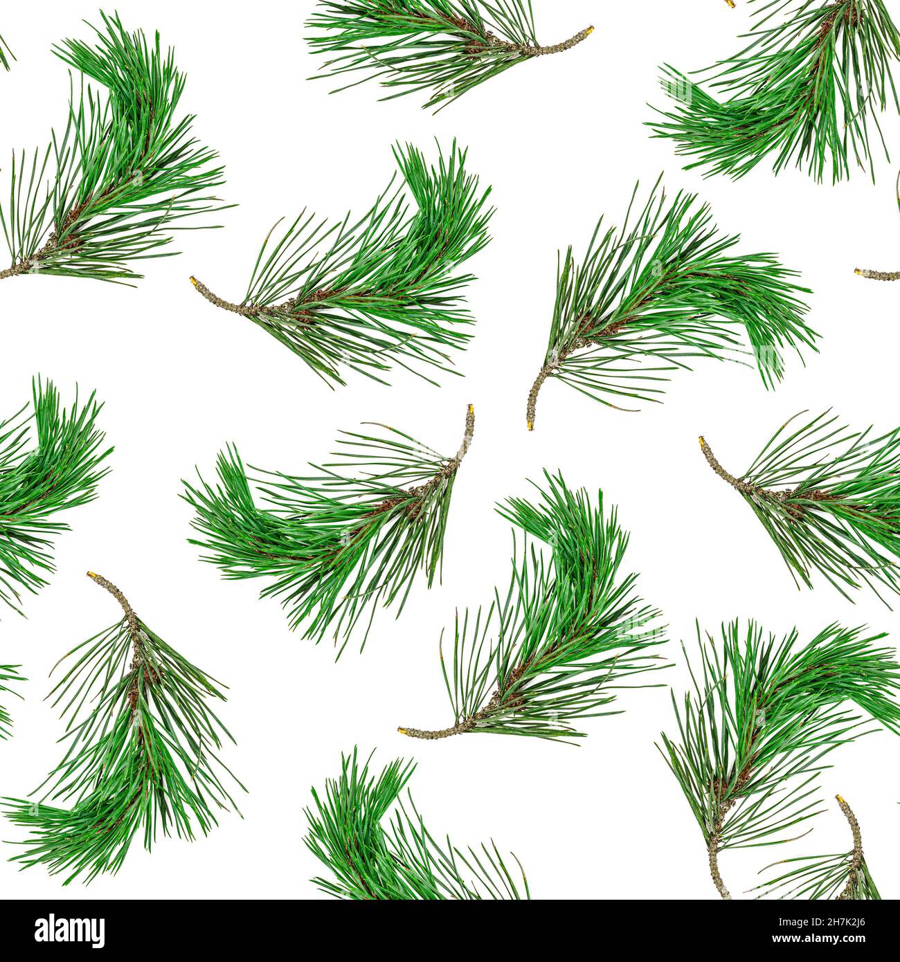 Winter seamless texture Cut Out Stock Images & Pictures - Alamy