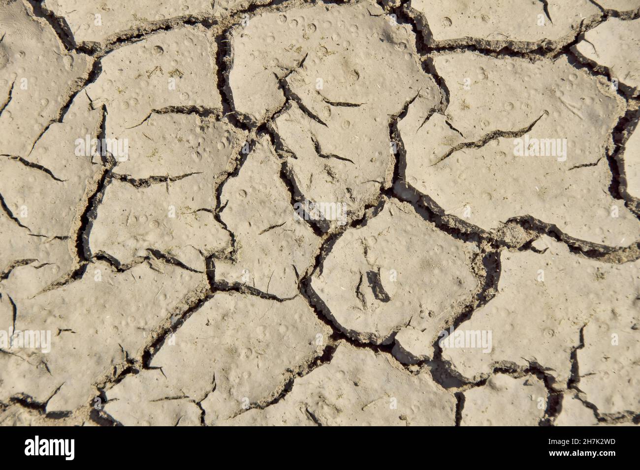 Close-up shot of the dry loamy ground Stock Photo - Alamy