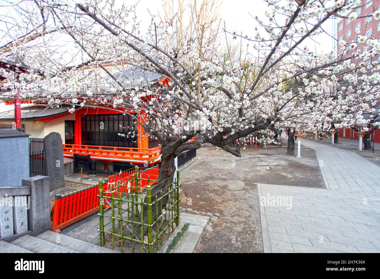 The Hanazono Shrine with vermilion colored buildings and torii gates in ...
