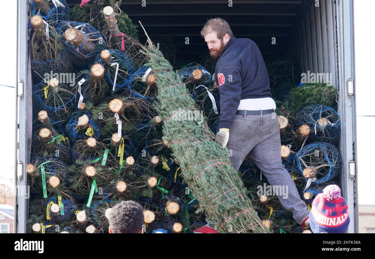 St. Louis, United States. 23rd Nov, 2021. A worker unloads a Christmas ...
