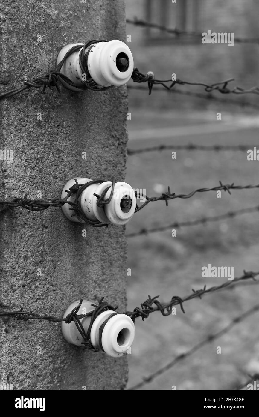 Perimeter fence auschwitz camp hi-res stock photography and images - Alamy