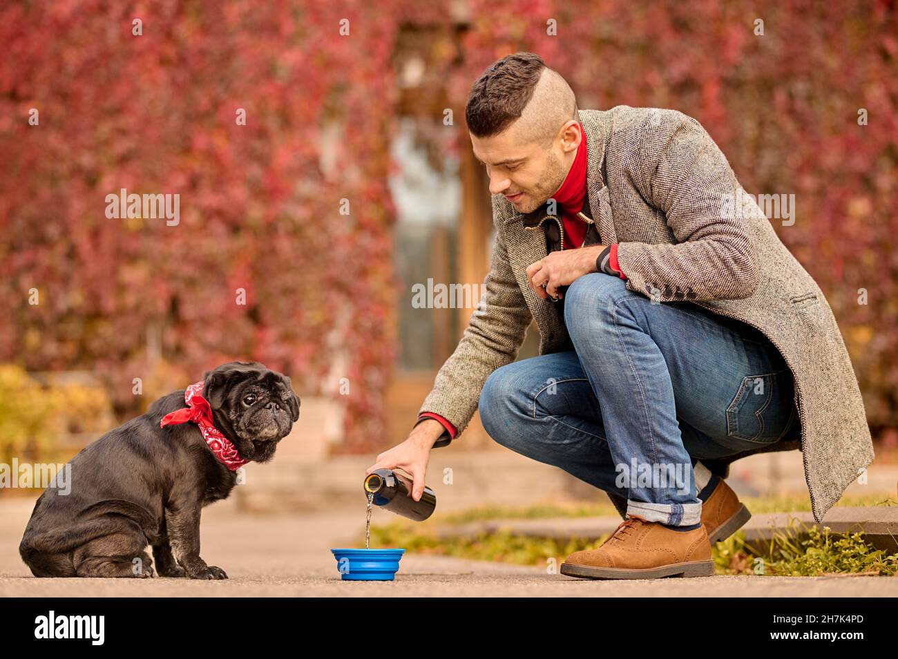 Owner pouring water dog hi-res stock photography and images - Alamy