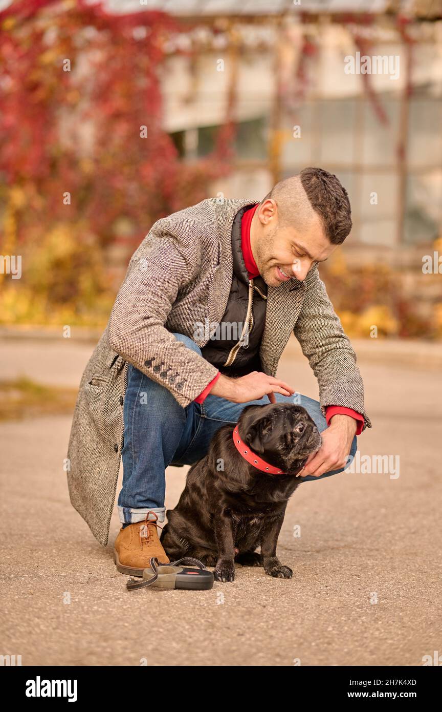 A pet owner putting a dog-collar on his pets neck Stock Photo - Alamy