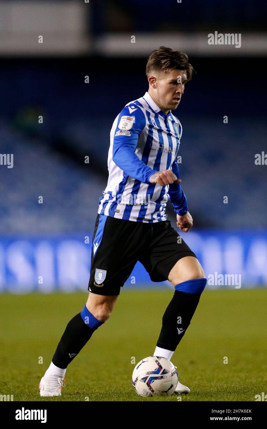Josh Windass #11 of Sheffield Wednesday Stock Photo - Alamy