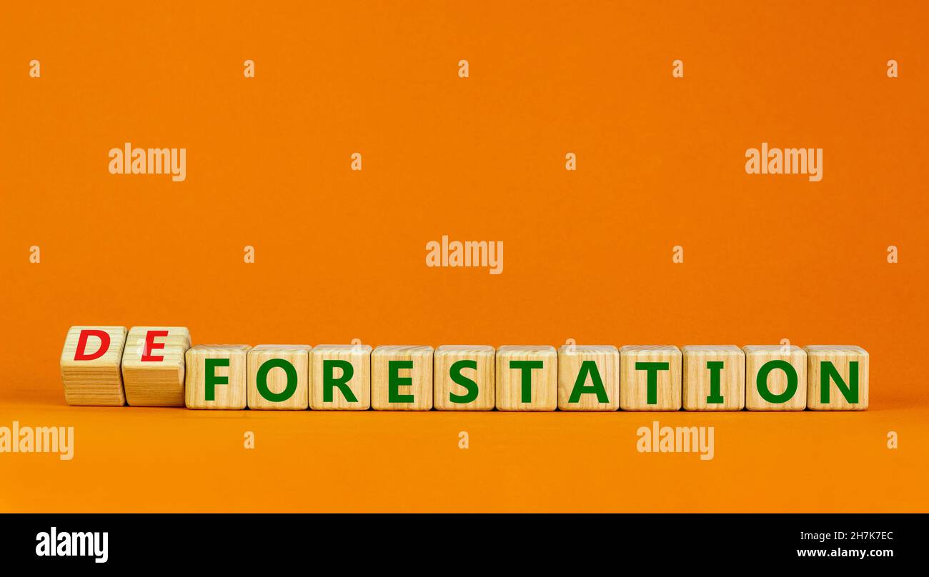 Forestation or deforestaion symbol. Turned wooden cubes and changed the ...