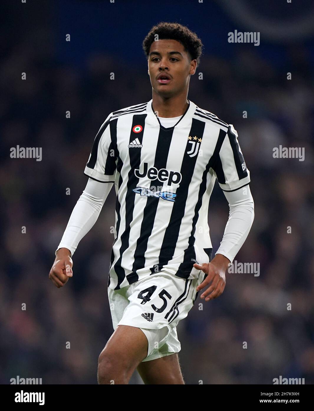 Koni de winter hi-res stock photography and images - Alamy