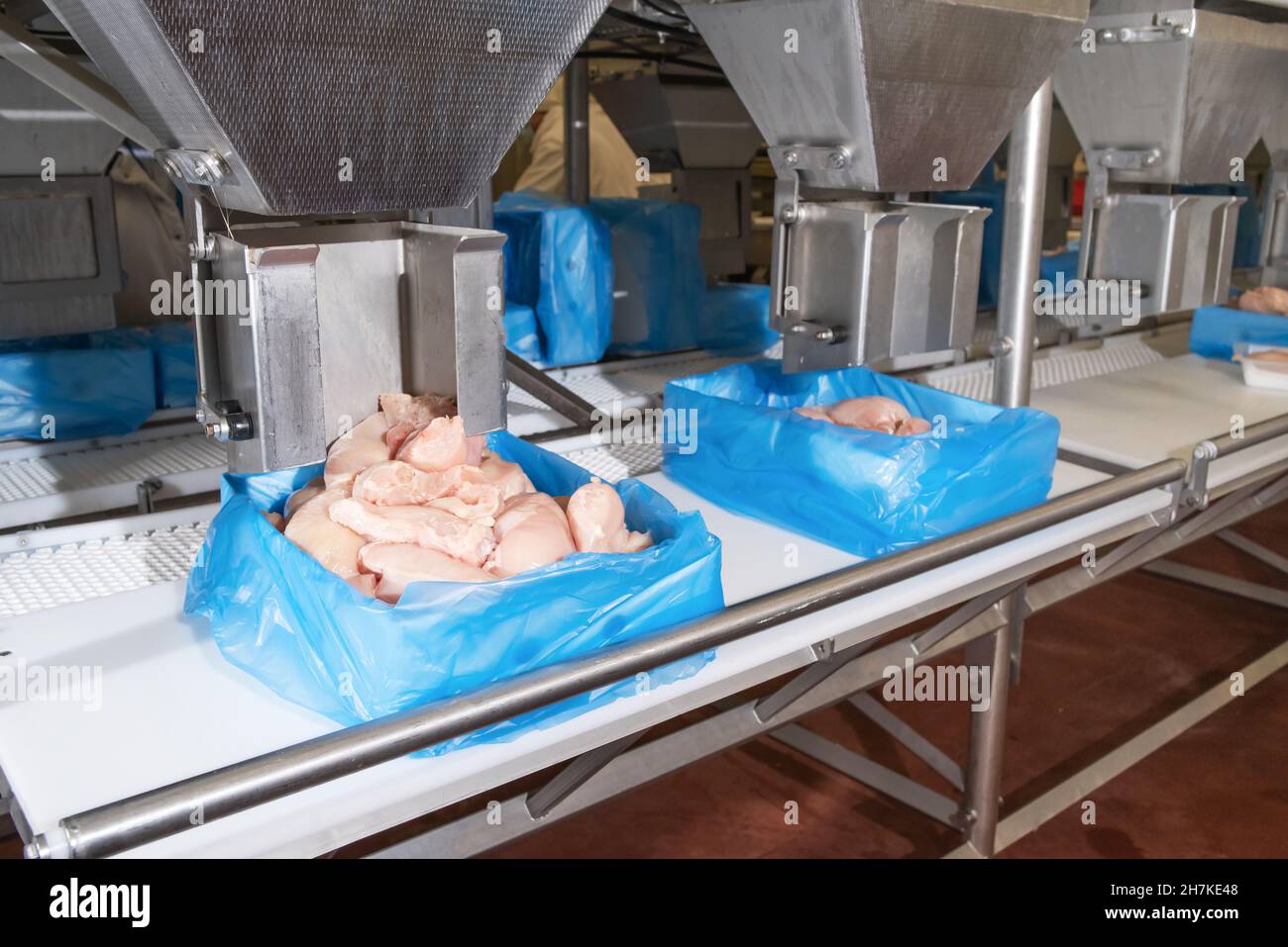 Line for the production of semi-finished meat products.Meat processing ...