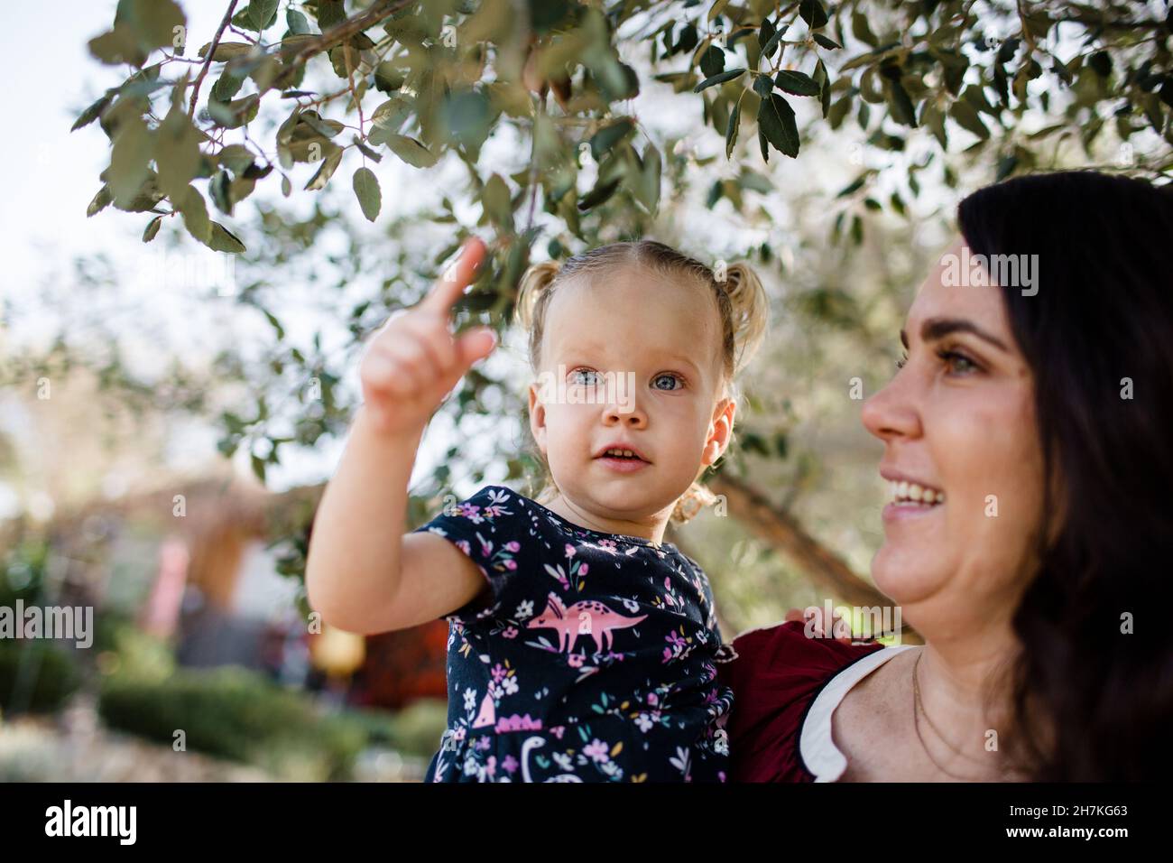 Mom & Daughter Under Tree in California Stock Photo - Alamy