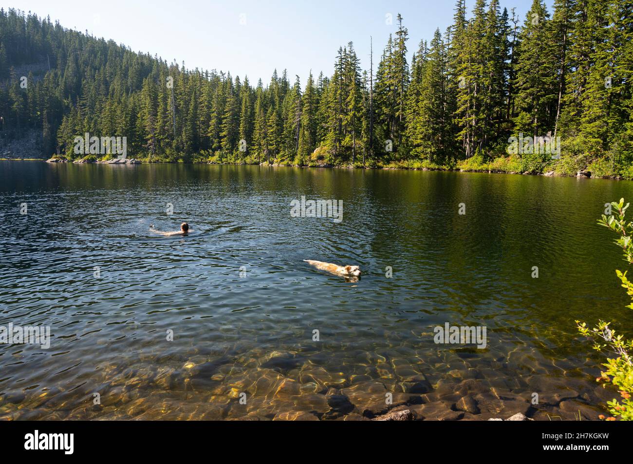 Guy swimming hi-res stock photography and images - Alamy