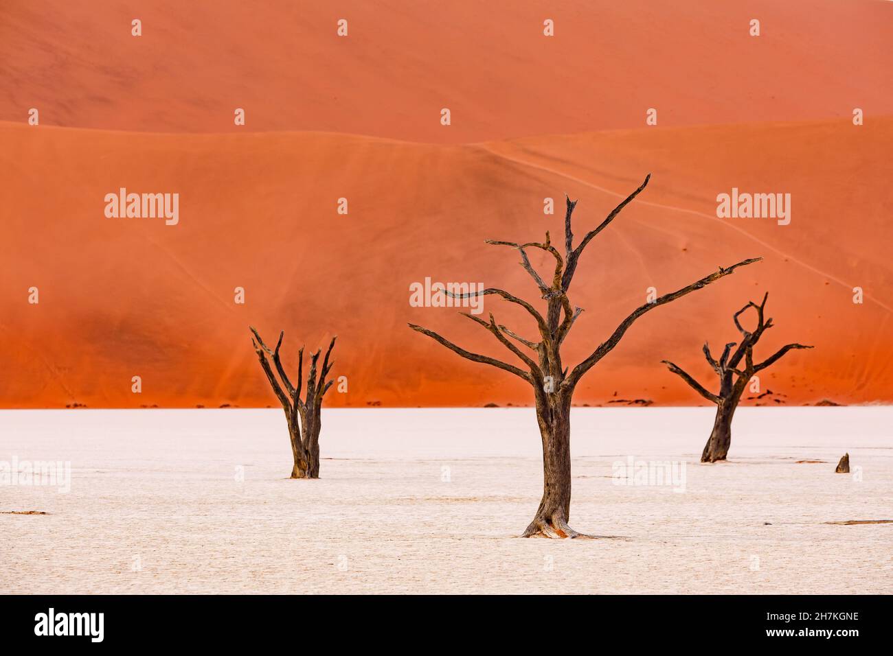 Western namibia hi-res stock photography and images - Alamy