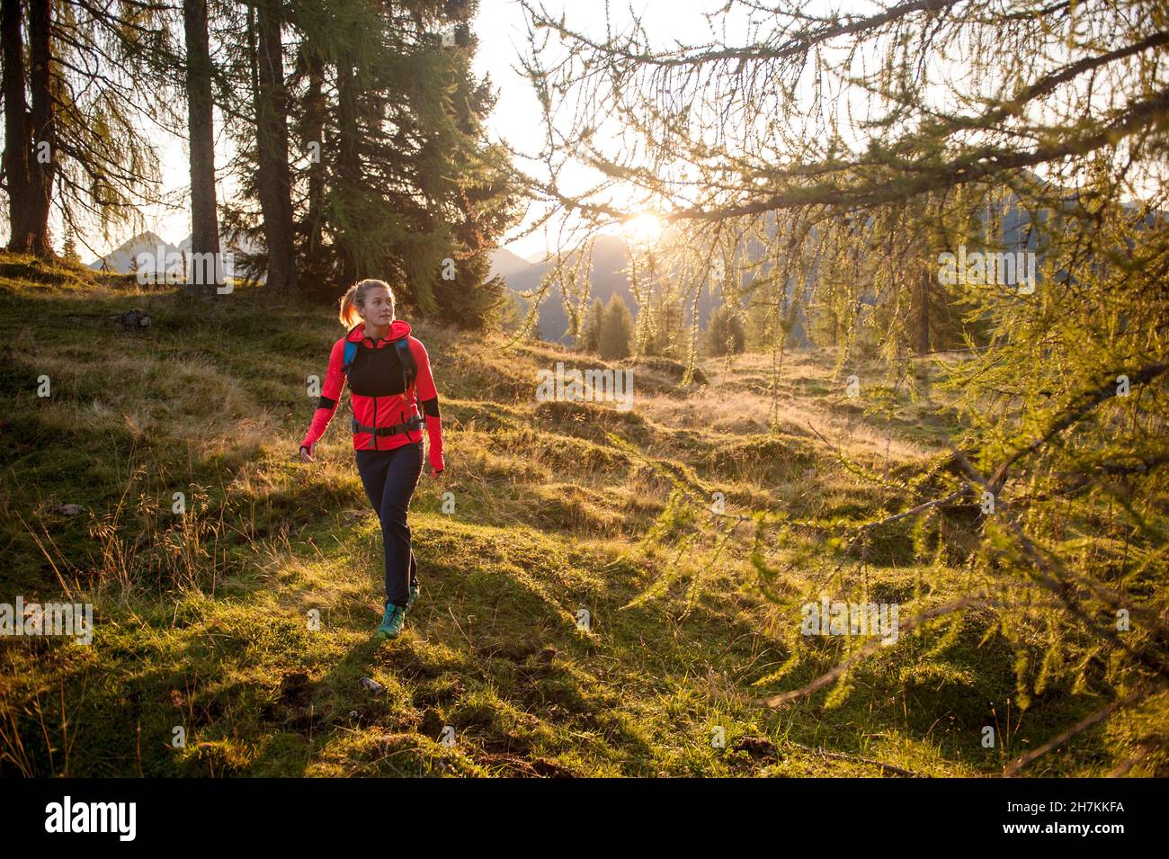 Cloud forest hiking hi-res stock photography and images - Alamy