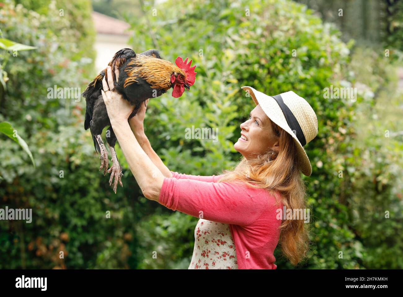 Smiling woman carrying rooster in backyard Stock Photo - Alamy