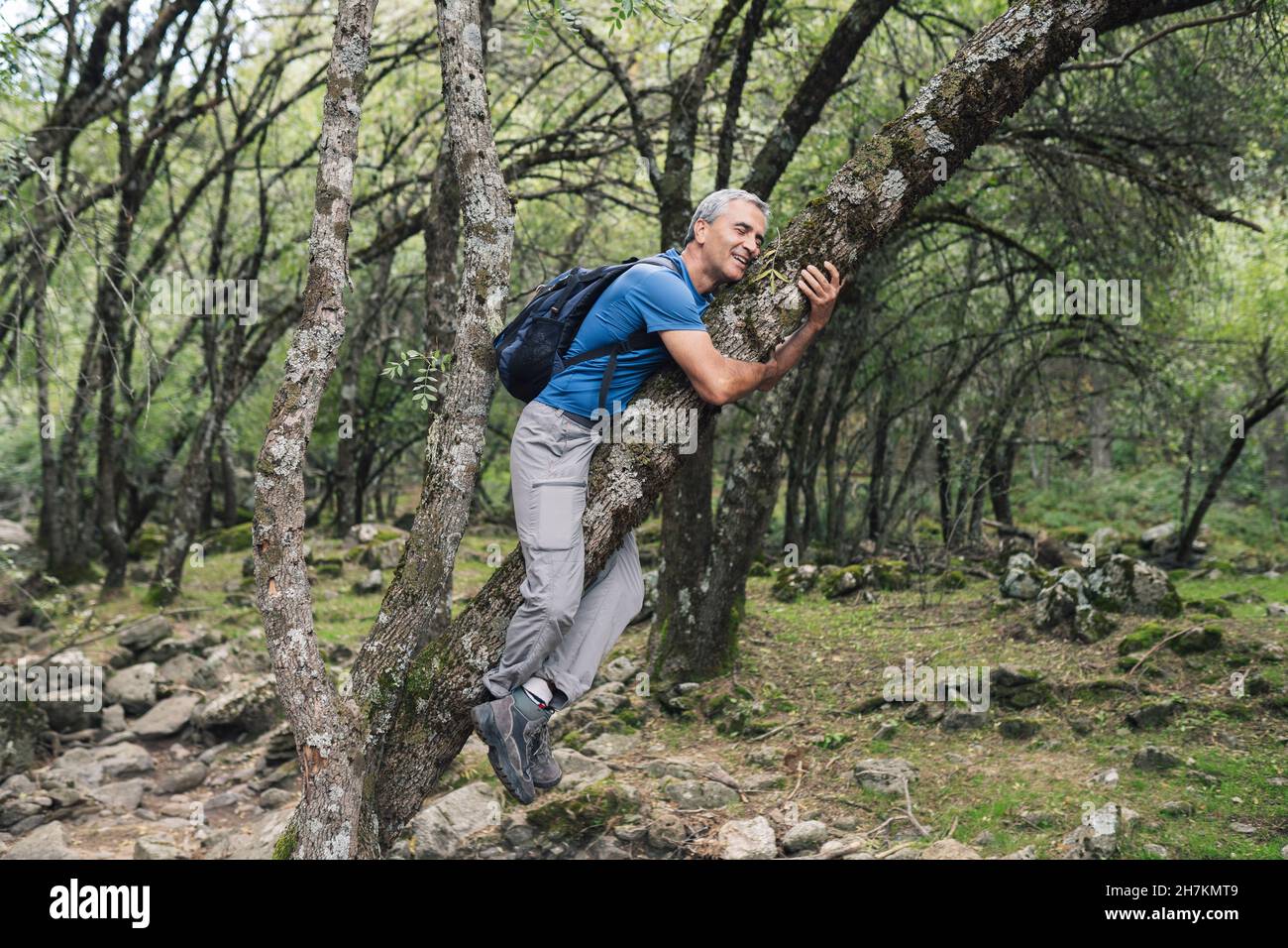 Man standing tree hi-res stock photography and images - Alamy