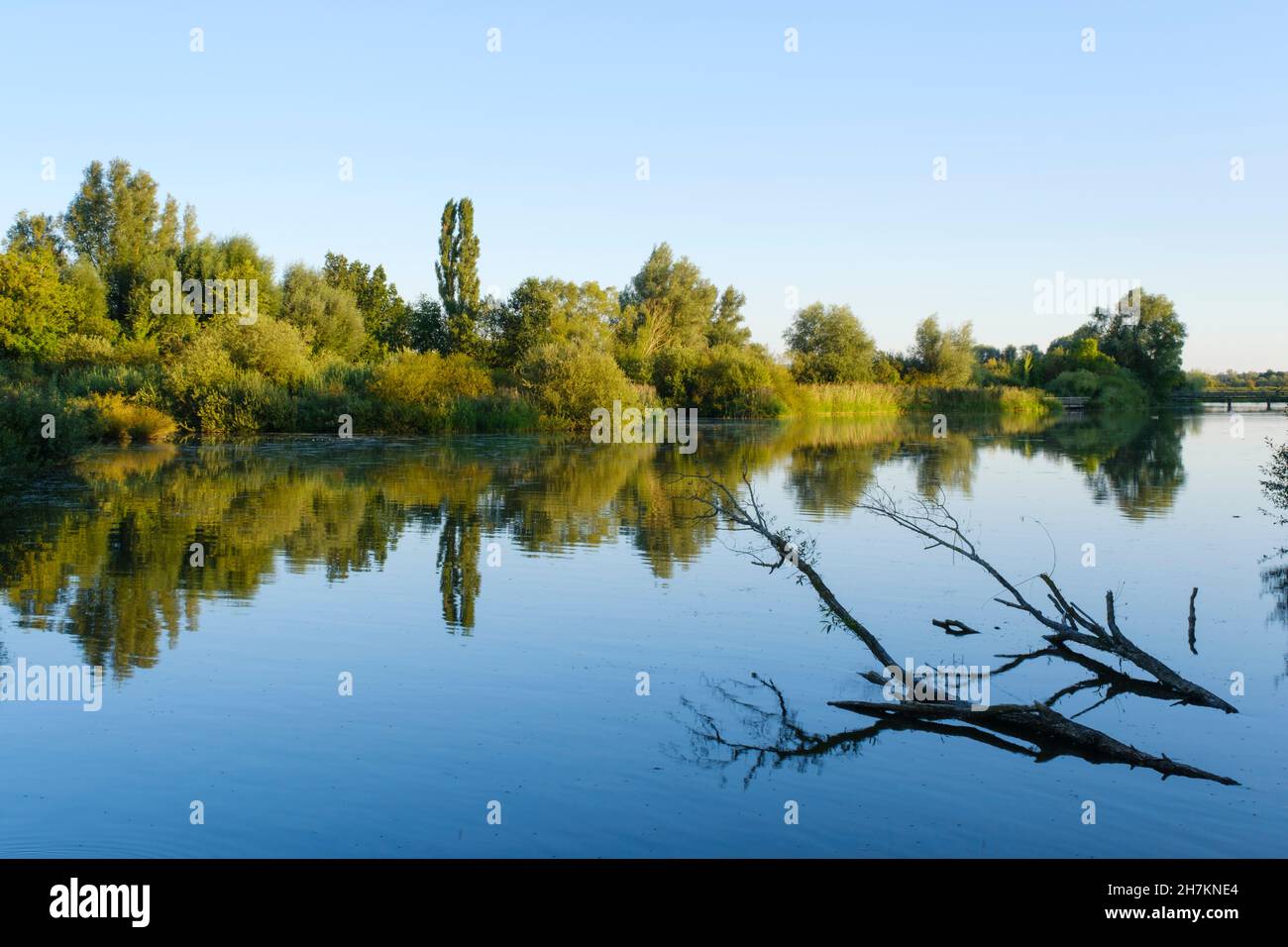 Trees reflecting in Altmuhlsee lake Stock Photo - Alamy