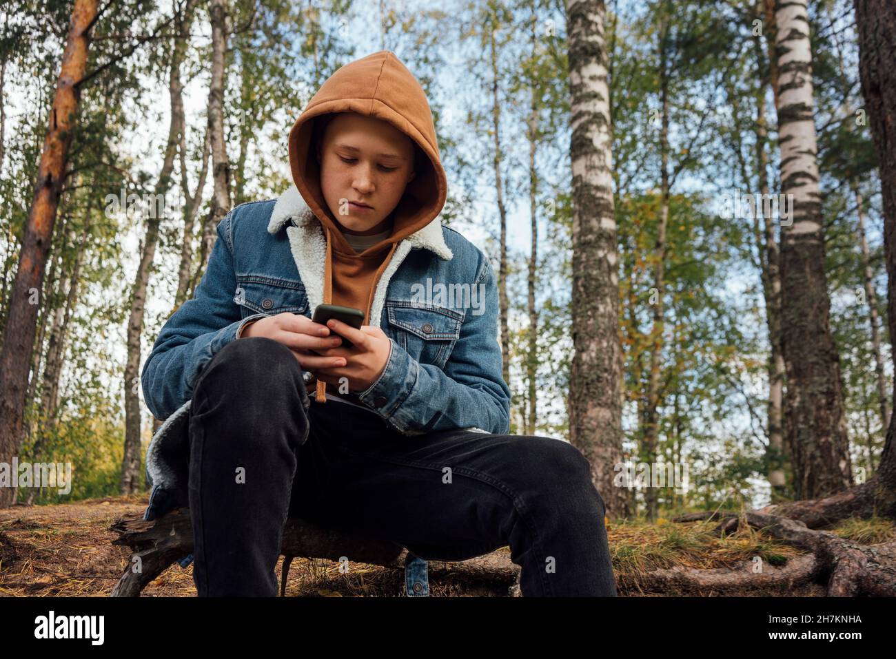 Boy using phone in nature hi-res stock photography and images - Alamy