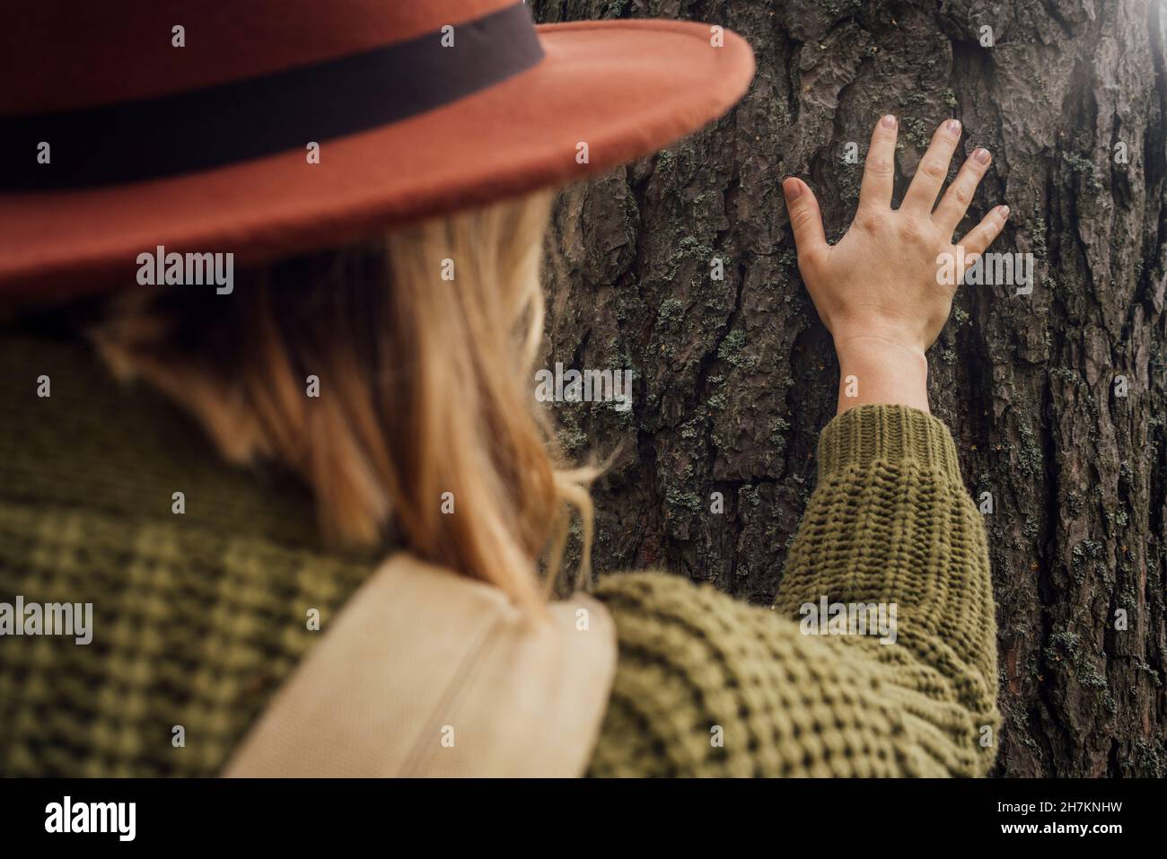 Woman touching tree bark in forest Stock Photo - Alamy
