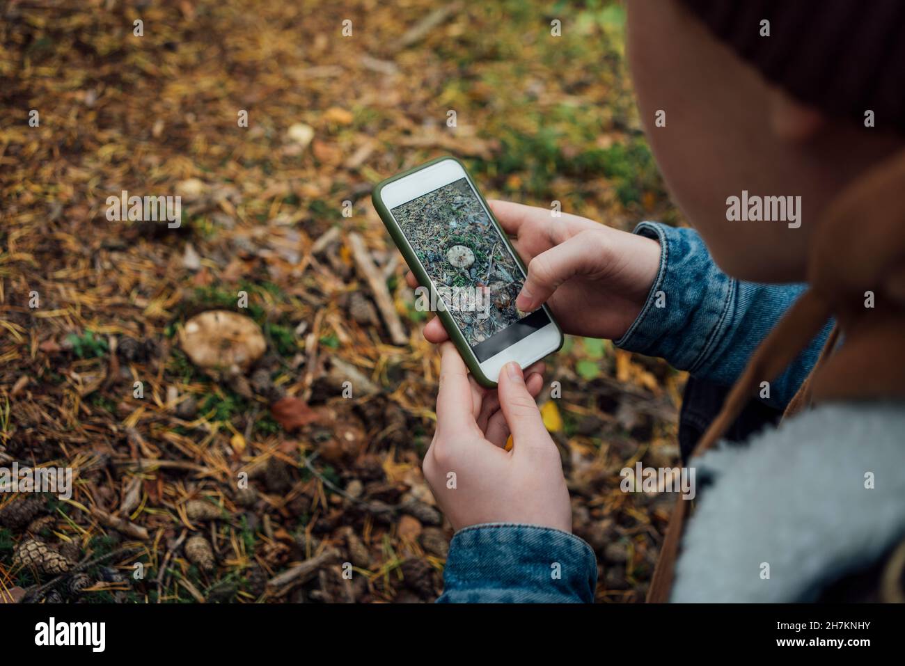Boy photographing through smart phone in forest Stock Photo - Alamy