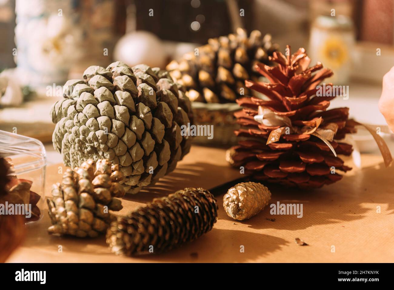 Female pine cone hi-res stock photography and images - Alamy