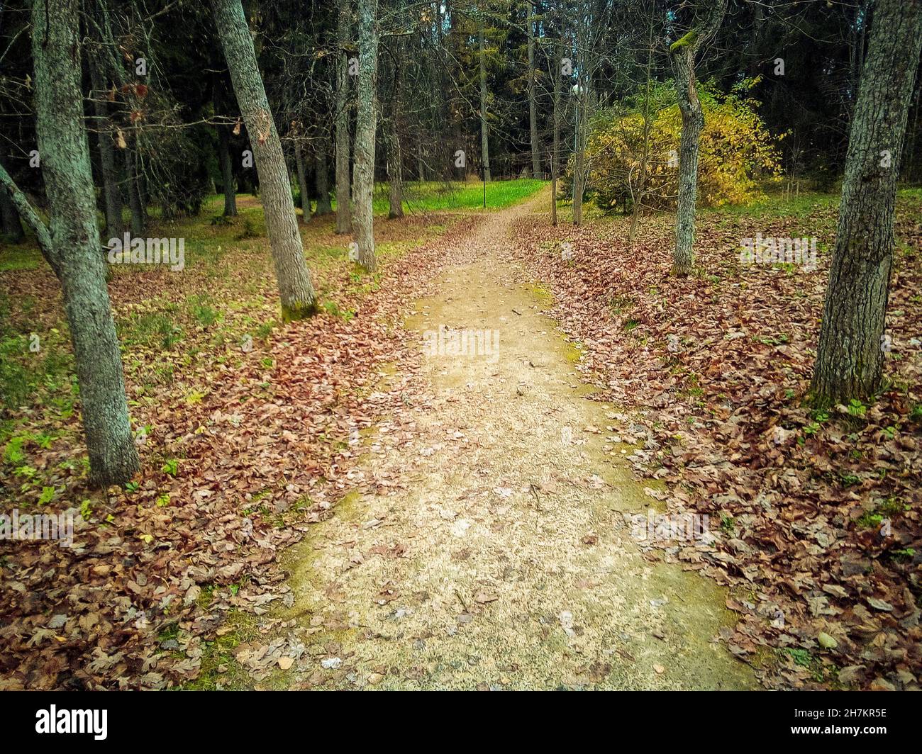Long narrow hi-res stock photography and images - Alamy