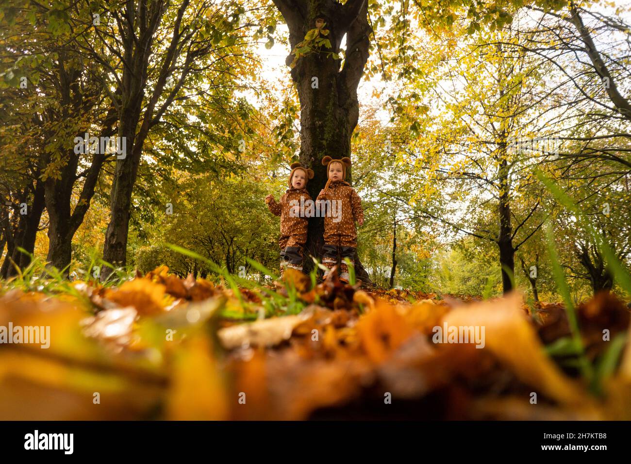 Male identical twins hi-res stock photography and images - Alamy