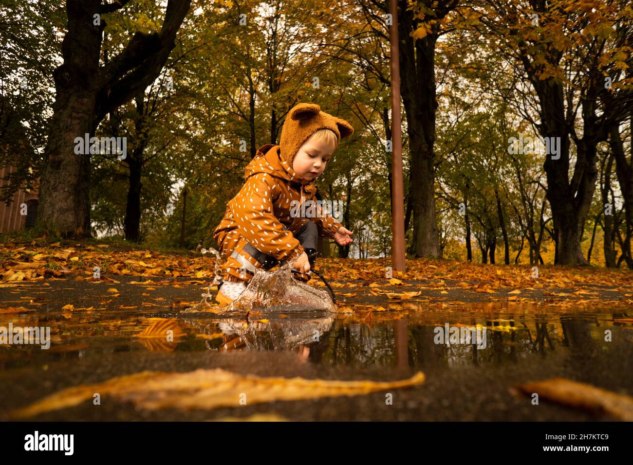 Boy with stick playing in puddle at park Stock Photo - Alamy